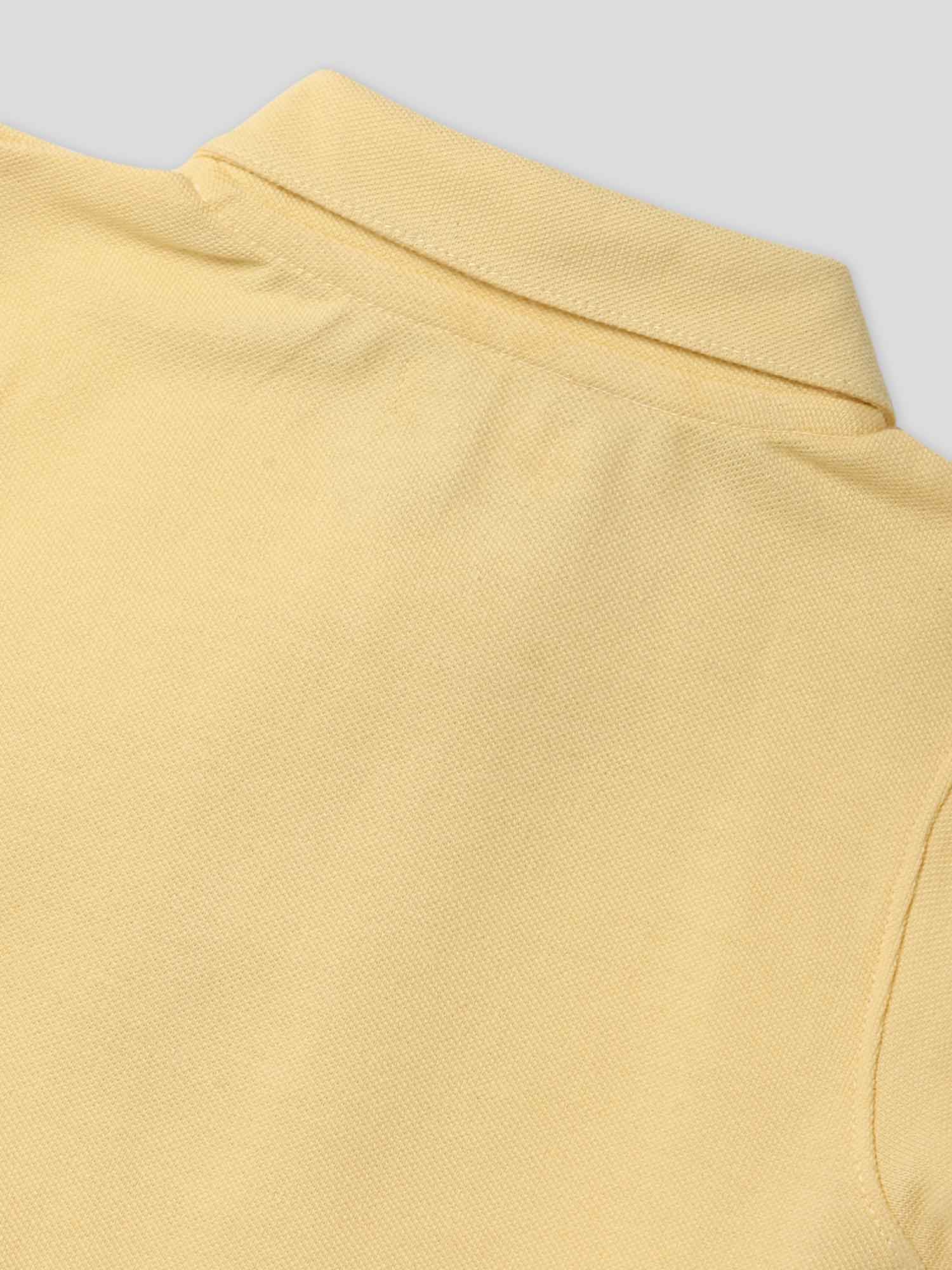Mango Ice Cream Polo